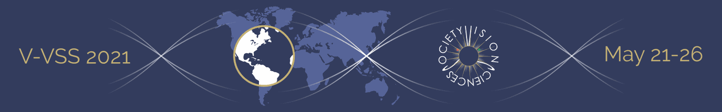 VSS V-VSS 2021 Graphics Competition Winner